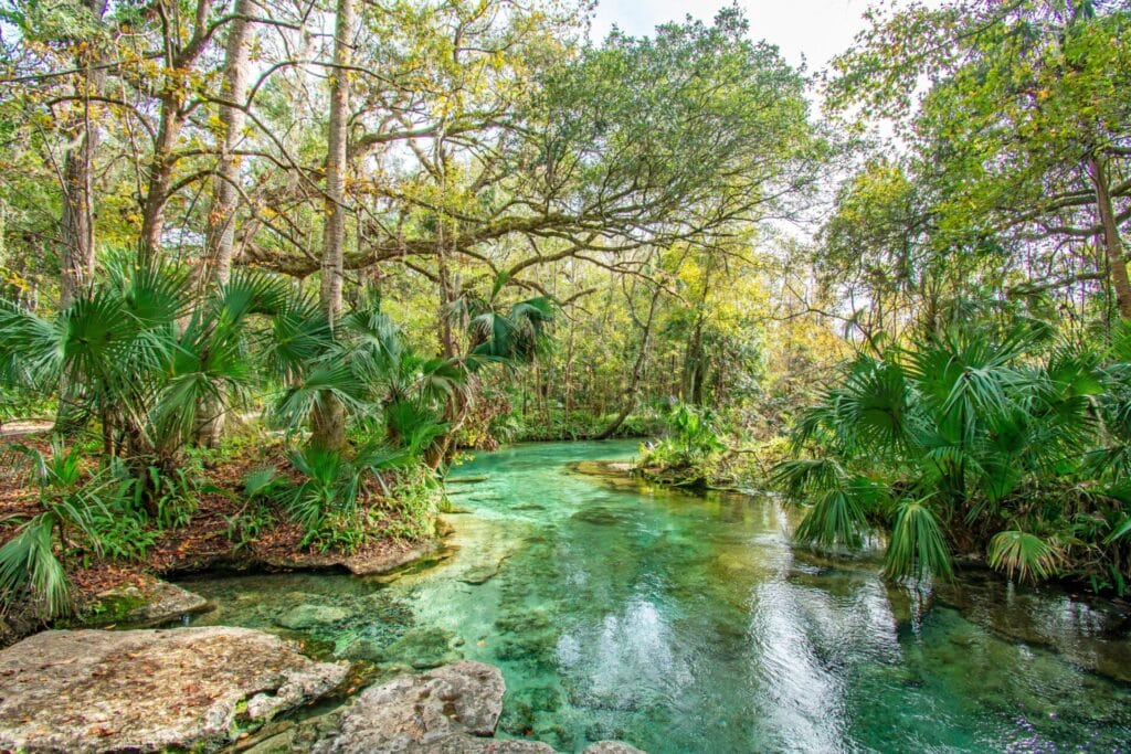 Apopka, Florida | Sprinklermatic About Apopka FL | History, ZIP Codes ...
